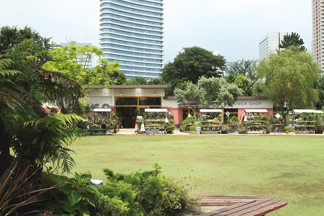 南青山の豊かな緑をシェアする“公園”ーSHARE GREEN MINAMI AOYAMA― ｜ Magazine ｜ Ki-Mama